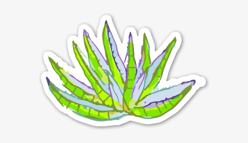 Aloe Vera Sticker - Aloe Vera - Free Transparent PNG Download - PNGkey