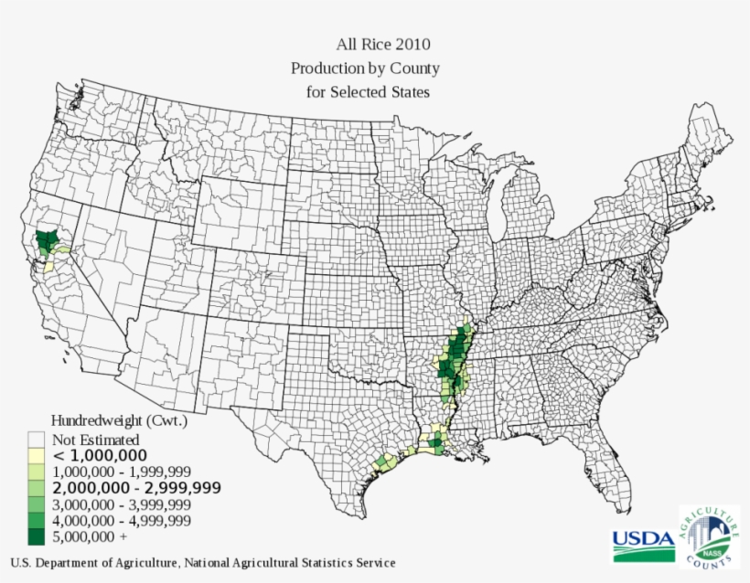 Rice Production In The United States Map Of Tomato - Spring Wheat North ...