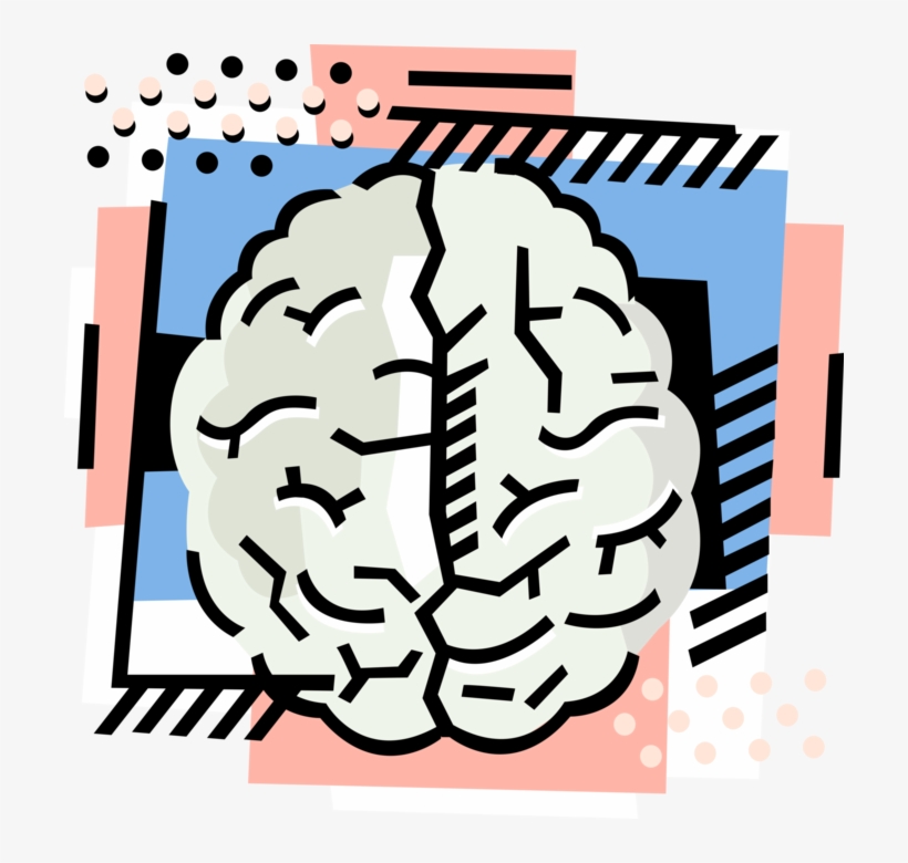 Vector Illustration Of The Human Brain - Brain - Free Transparent PNG ...