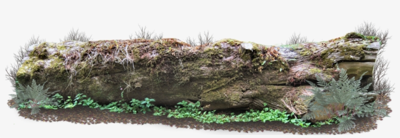 Giant By Aledjonesdigitalart Deviantart - Log With Moss Png - Free ...