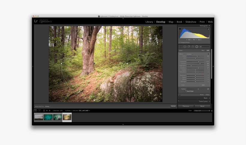To Achieve This Result You'll Want To Once Again Add - Invert Radial ...