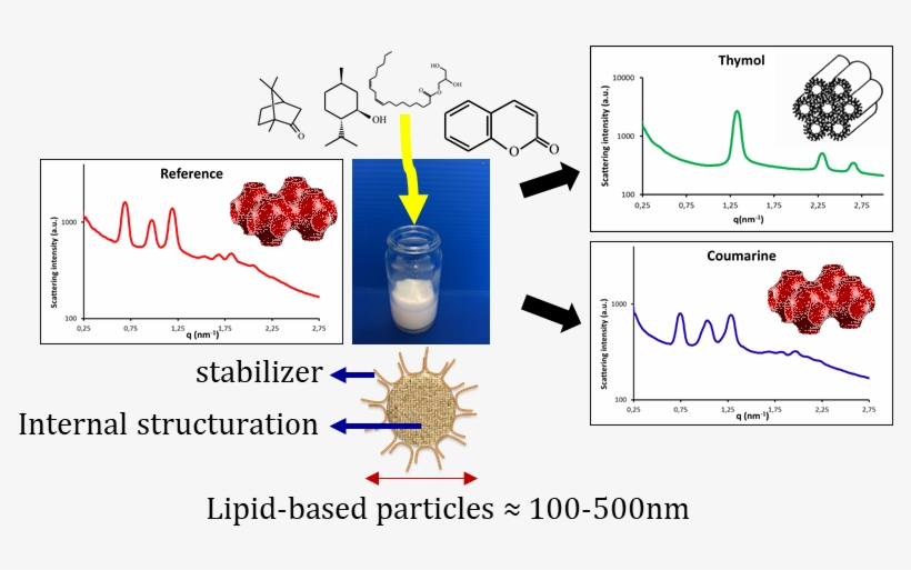 Figure 1 - Surfactant Phase Diagram - Free Transparent PNG Download ...