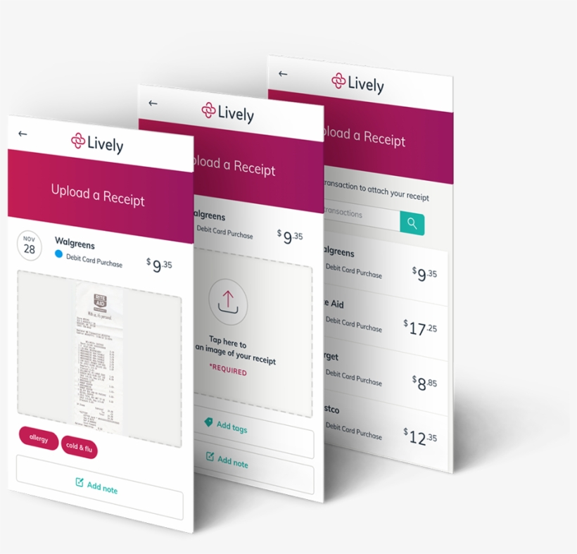 Images Of Example Receipts In Lively Dashboard - Document - Free ...