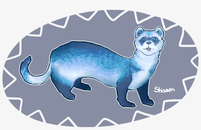 Blue Ferret - Weasel - Free Transparent PNG Download - PNGkey