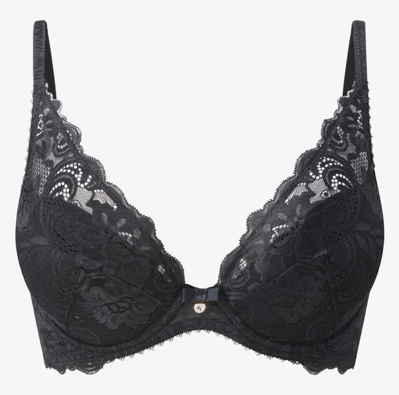 Bra - Free Transparent PNG Download - PNGkey