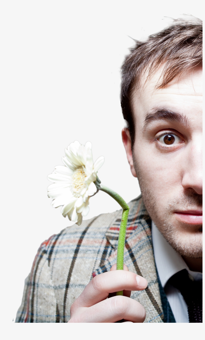 Storyteller From The Future - Barberton Daisy - Free Transparent PNG ...