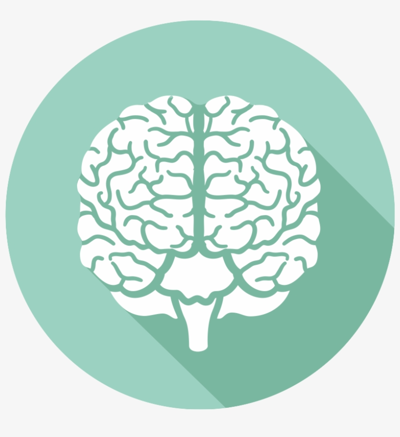 Brain-icon - تصوير مقطعي بالإصدار البوزيتروني - Free Transparent PNG Download - PNGkey
