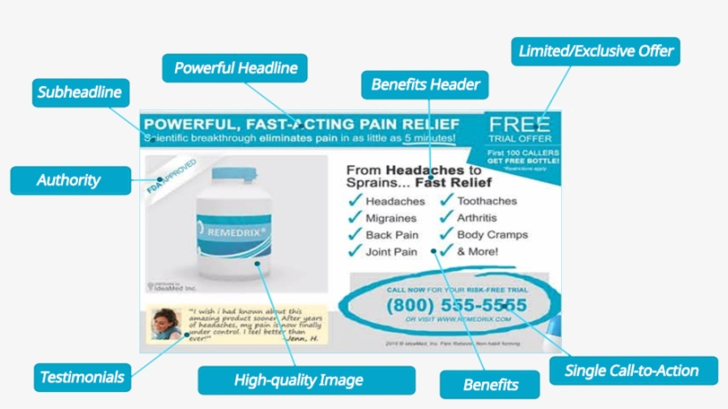 Elements Of A Leaflet - Free Transparent PNG Download - PNGkey
