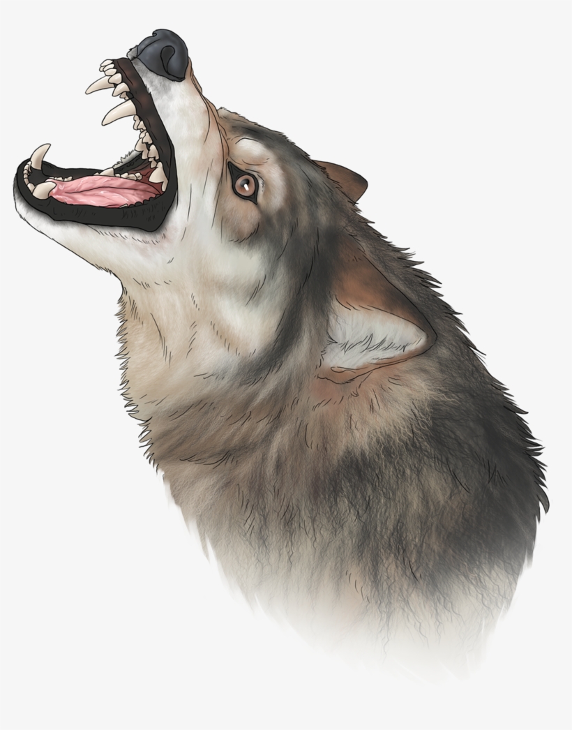 Wolf Chomp - Free Transparent PNG Download - PNGkey