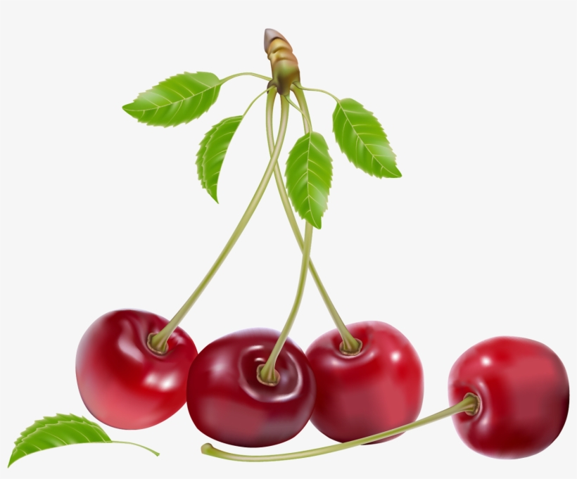 Cherry Png - Free Transparent PNG Download - PNGkey