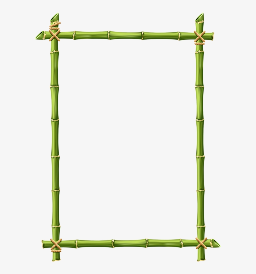 Bamboo Frame Png