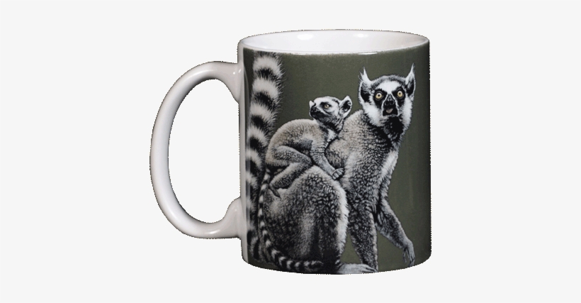 Ring-tailed Lemurs Ceramic Mug - Ceramic - Free Transparent PNG ...
