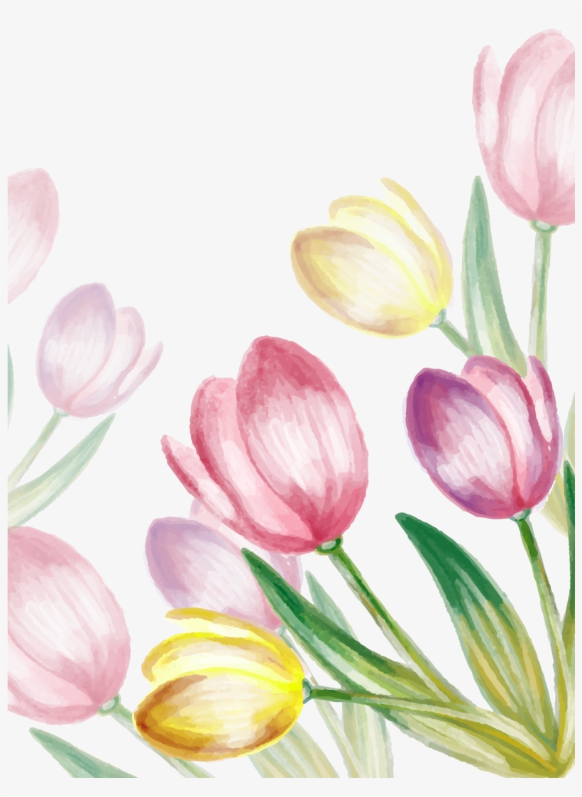Water Painted Tulip Vector - Tulips Free Vector - Free Transparent PNG ...