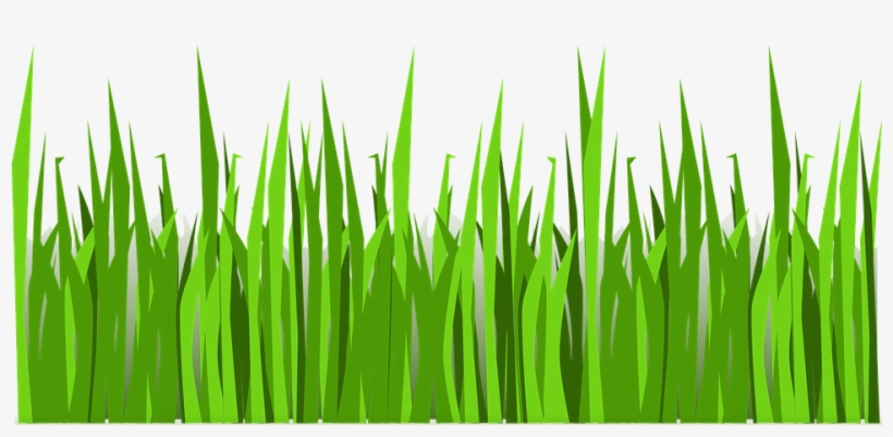 Prairie Grass Vector