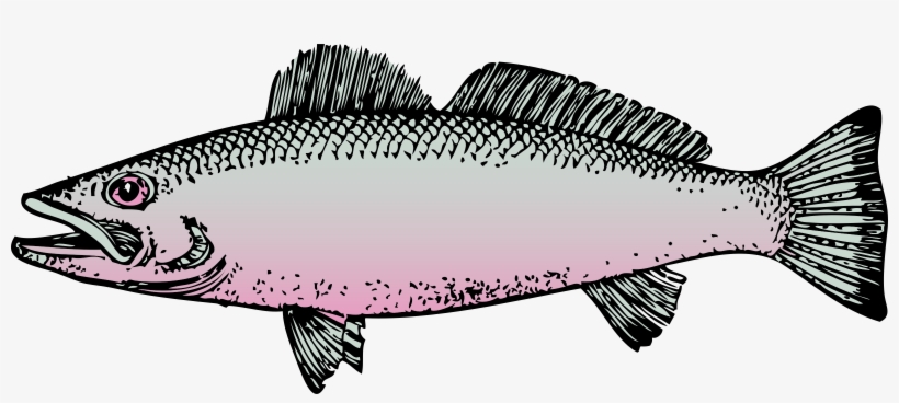 Fish Clipart Side View - Fish Clip Art - Free Transparent PNG Download ...