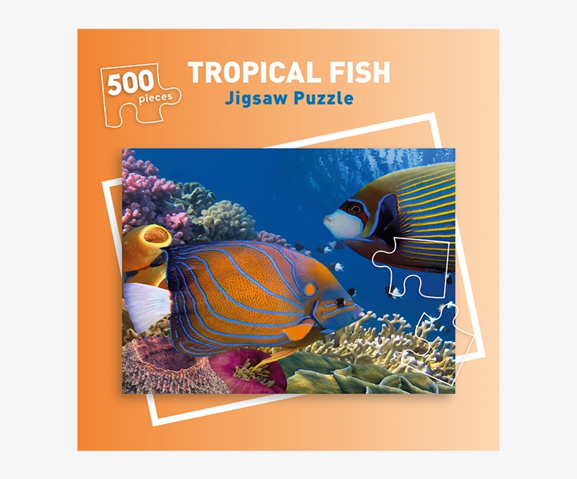 500 Piece Tropical Fish Jigsaw Puzzle - Free Transparent PNG Download ...