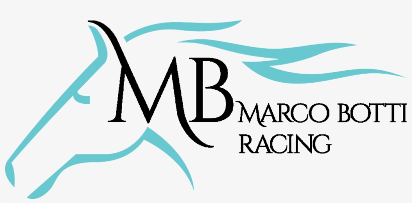 Marco Botti - Free Transparent PNG Download - PNGkey