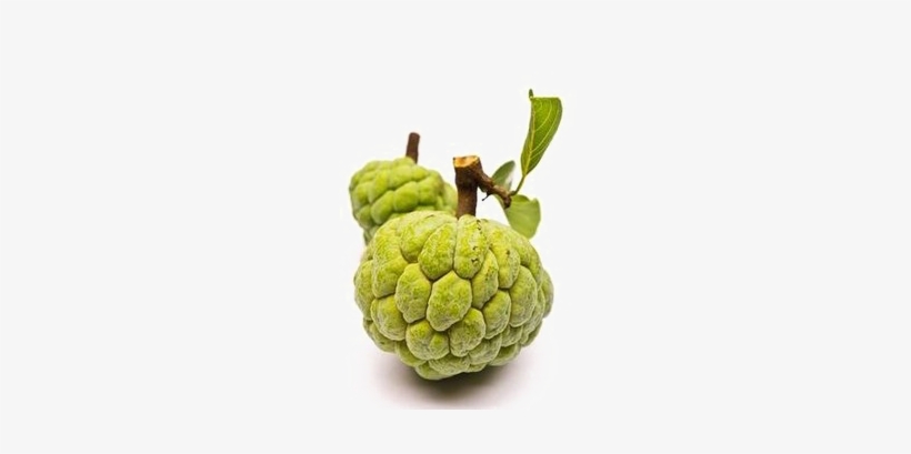 Sugar Apple Png Image With Transparent Background - Sitafal Fruit ...