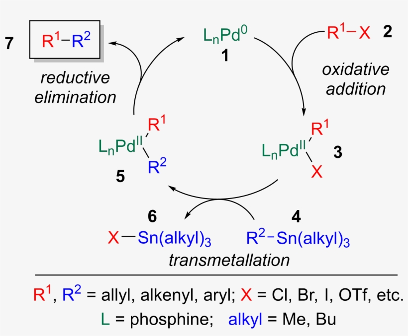 Catalytic Cycle Of The Stille Reaction - Stille Reaction - Free ...