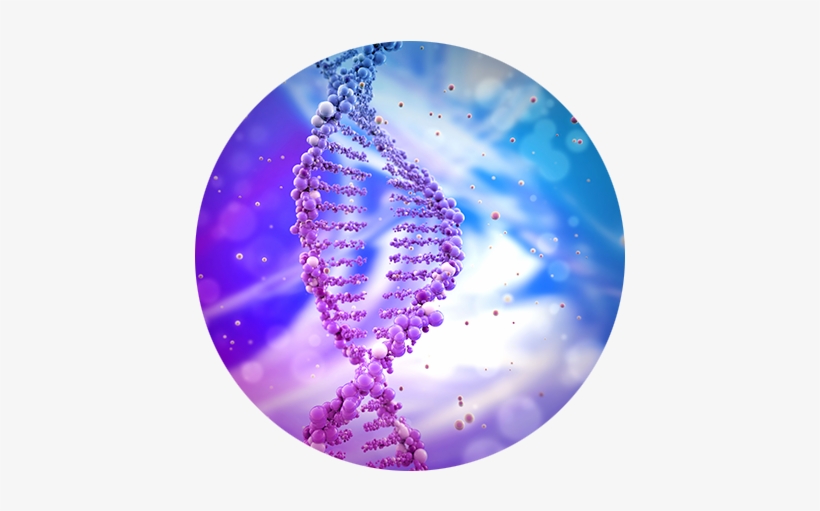 Stem Cell - Regenerative Medicine: Stem Cell Therapy, Stem Cell - Free ...