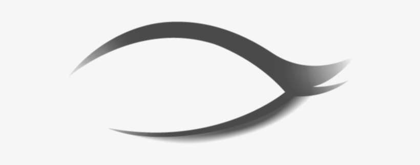 Picture - Sticker - Free Transparent PNG Download - PNGkey