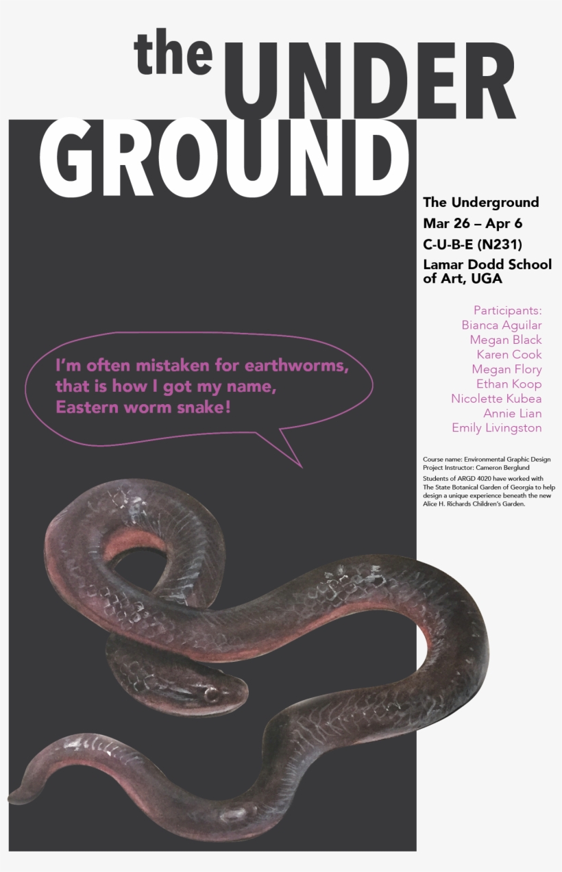 This Project Includes - Serpent - Free Transparent PNG Download - PNGkey