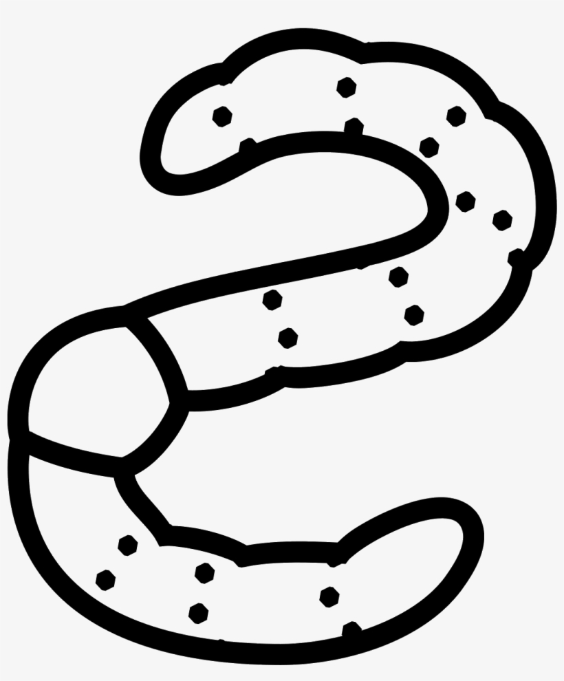 Earth Worm Icon - Earthworm - Free Transparent PNG Download - PNGkey