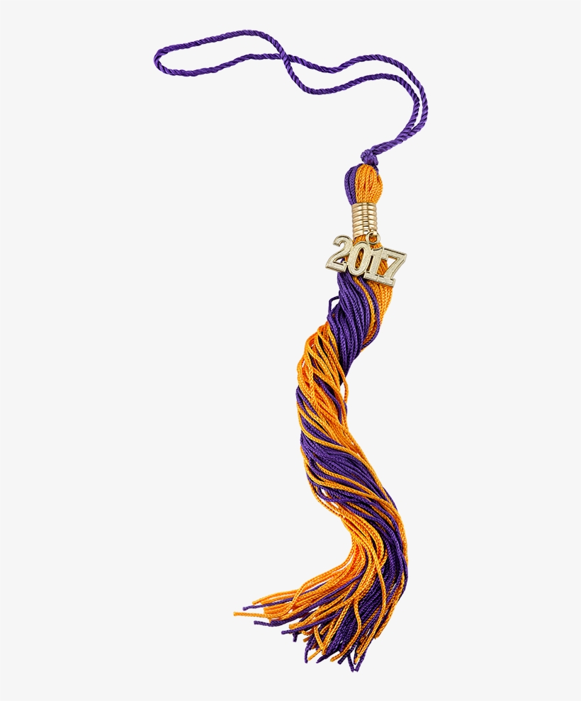 Graduation Tassle Png - Graduation Tassel Png File - Free Transparent ...