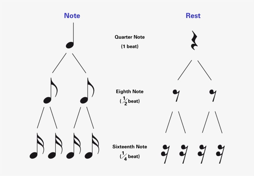 Notes Used In Drum Beats - Notes In Drums - Free Transparent PNG ...