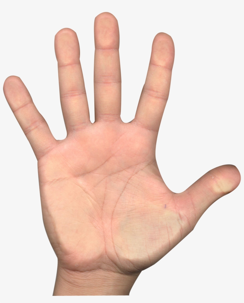 Mano Gif - Free Transparent PNG Download - PNGkey