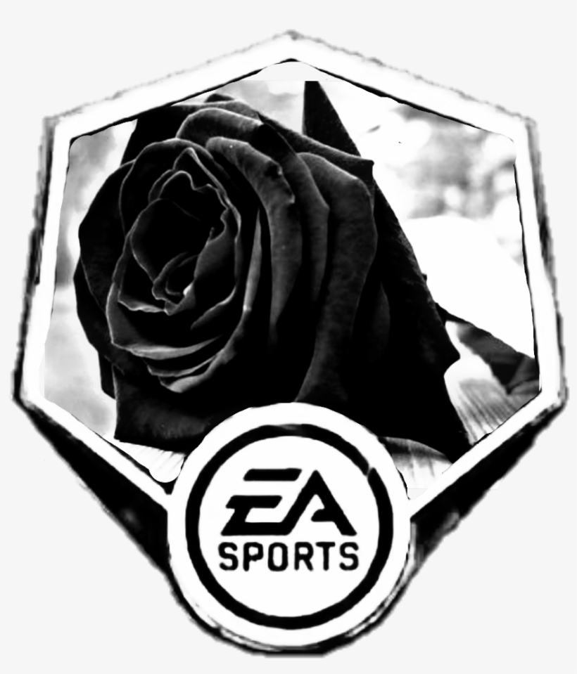 Base Luto - Fifa 11 - Free Transparent PNG Download - PNGkey