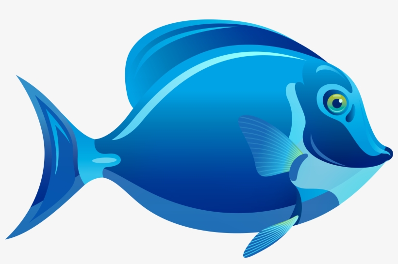 Blue Fish Png Clipart - Free Transparent PNG Download - PNGkey