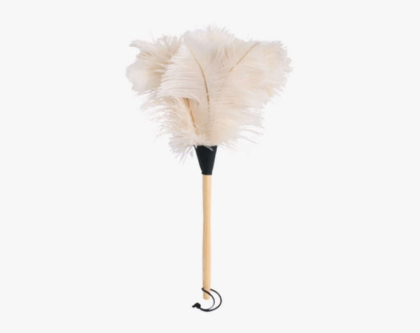Ostrich Feather Duster - Feather Duster - Free Transparent PNG Download ...