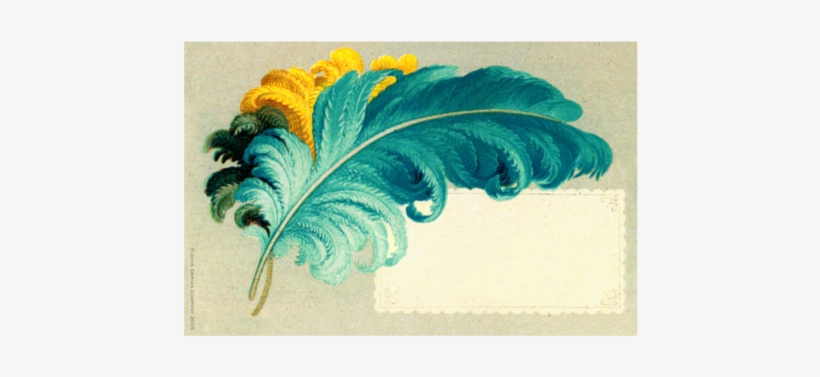 Ostrich Feather Ostrich Feather - 10 Silver Skeleton Keys Charms ...