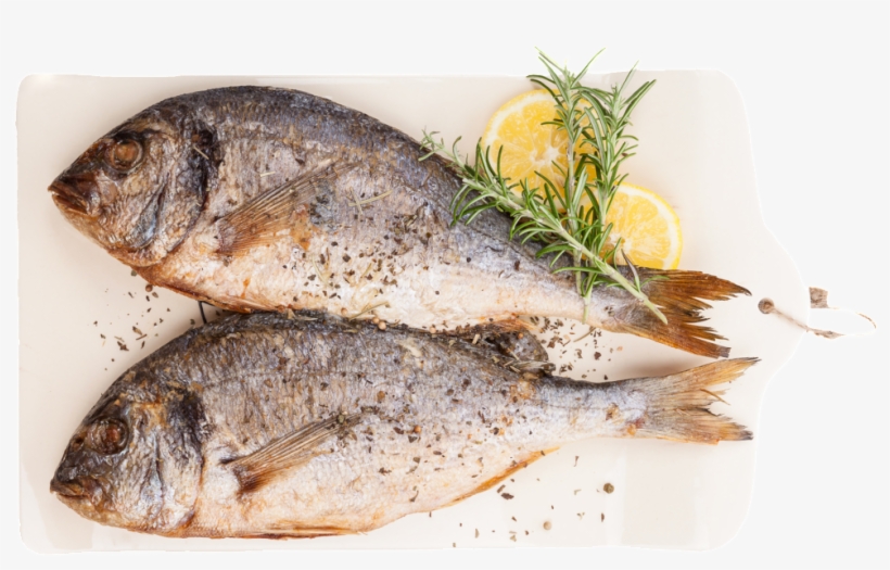 Grilled Fish Food Transparent Buckle Free Decoration - Alose A L ...