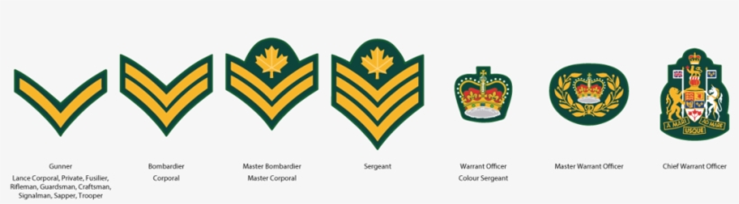 Cadet Ncm Ranks - Free Transparent PNG Download - PNGkey