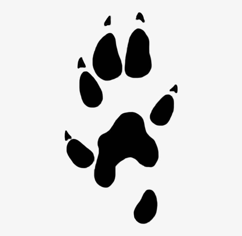 Stoat Paw Prints Clipart 22 Mm - Free Transparent PNG Download - PNGkey