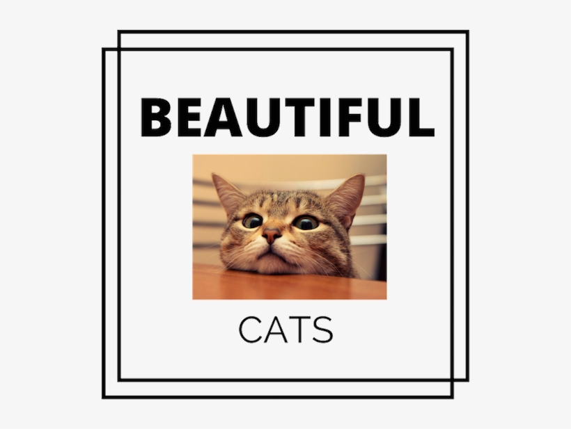 Fashion Unique Design Protective Cellphone Back Cover - Free ...