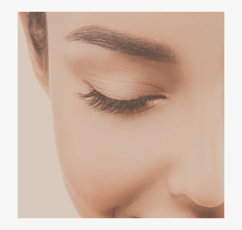 Eyebrow - Free Transparent PNG Download - PNGkey