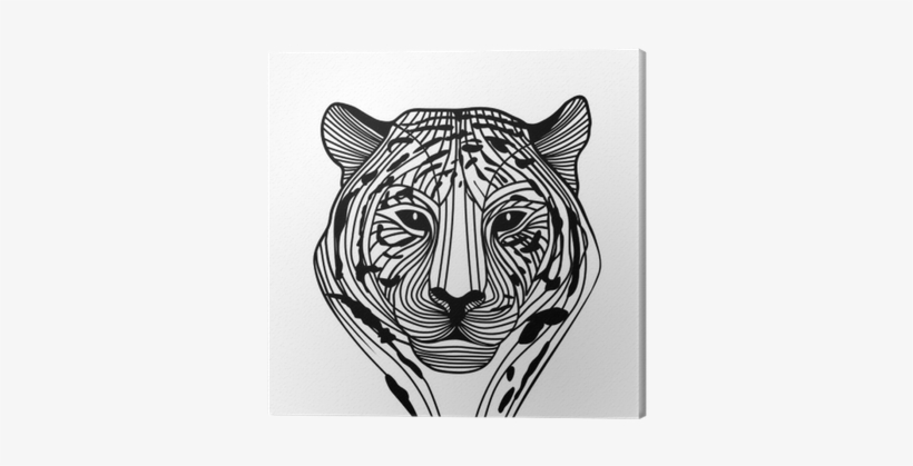 Puma Head - Free Transparent PNG Download - PNGkey