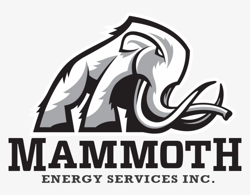 Mammoth Energy Services Logo - Free Transparent PNG Download - PNGkey