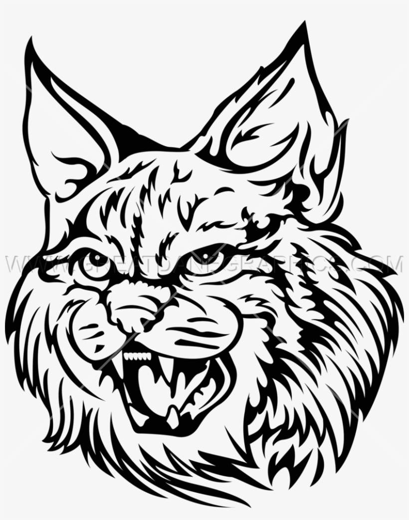 Wildcat - Wildcat Png - Free Transparent PNG Download - PNGkey