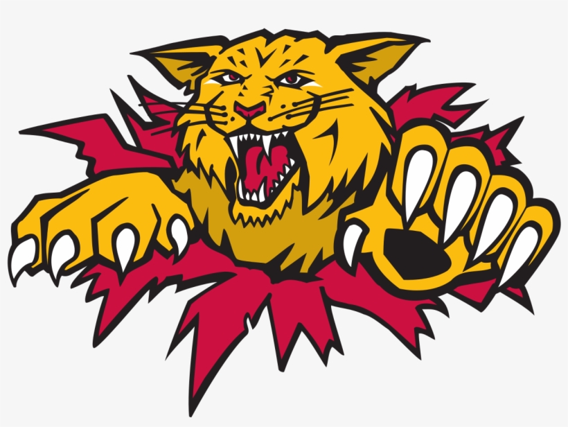 Wild Cats Png - Slater Wildcats - Free Transparent PNG Download - PNGkey