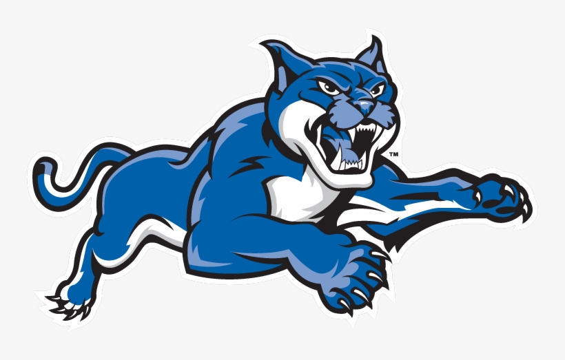 Wildcat - New England Institute Of Technology Mascot - Free Transparent ...