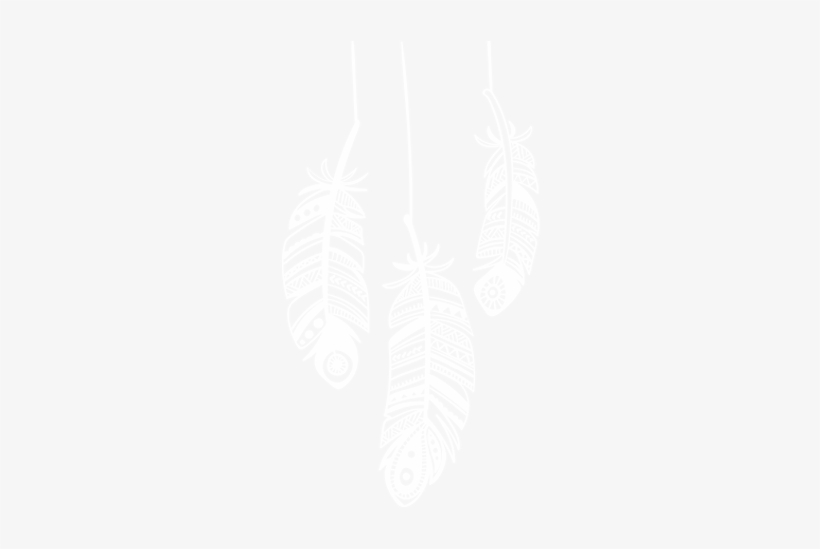 Splash Feathers - Dreamcatcher - Free Transparent PNG Download - PNGkey