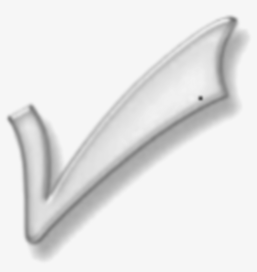 Project Description - " - White Check Mark With Transparent Background ...