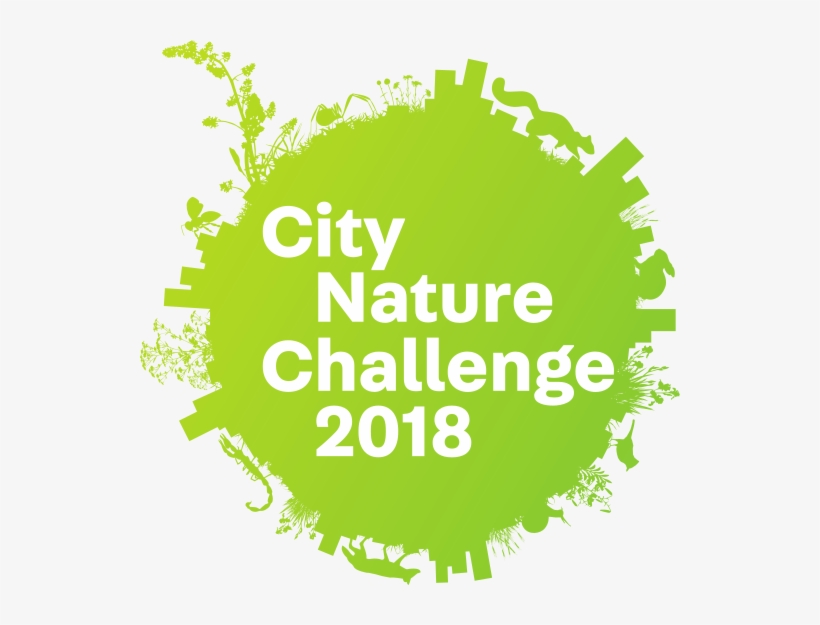 City Nature Challenge Logo - Free Transparent PNG Download - PNGkey
