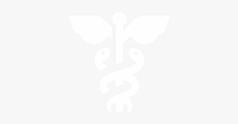 Customer Success Story - Healthcare Icon White - Free Transparent PNG ...