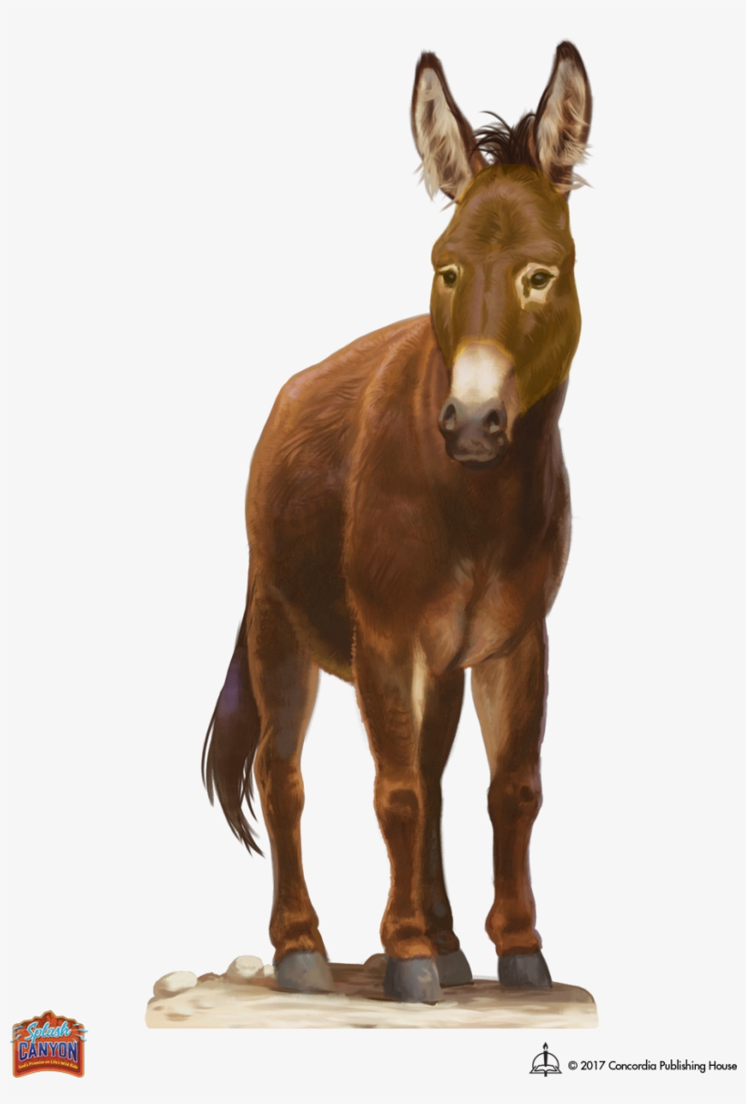 B&w - Jpeg - Art - Free Transparent PNG Download - PNGkey