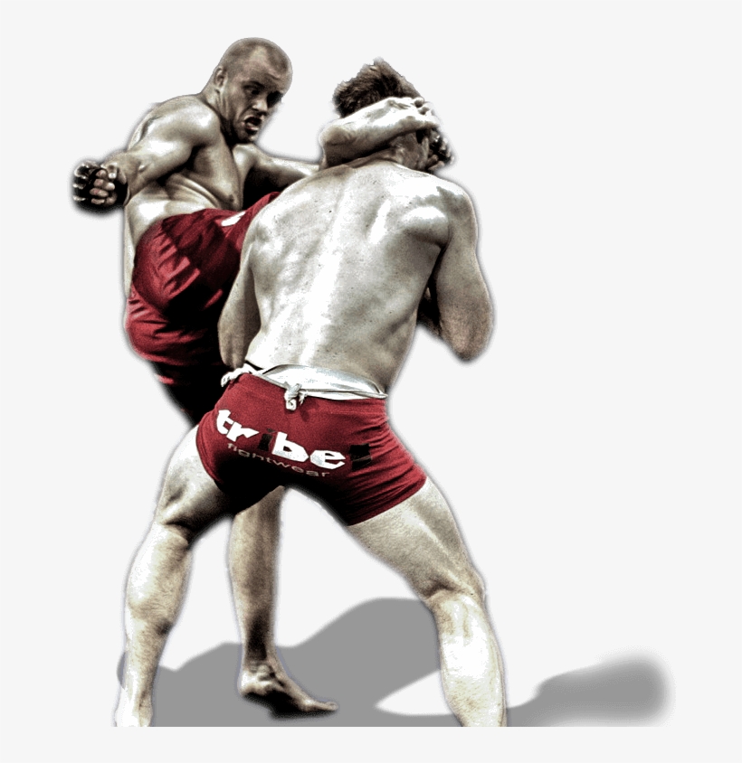 Mixed Martial Arts Fight Png Image - Mma Png - Free Transparent PNG ...